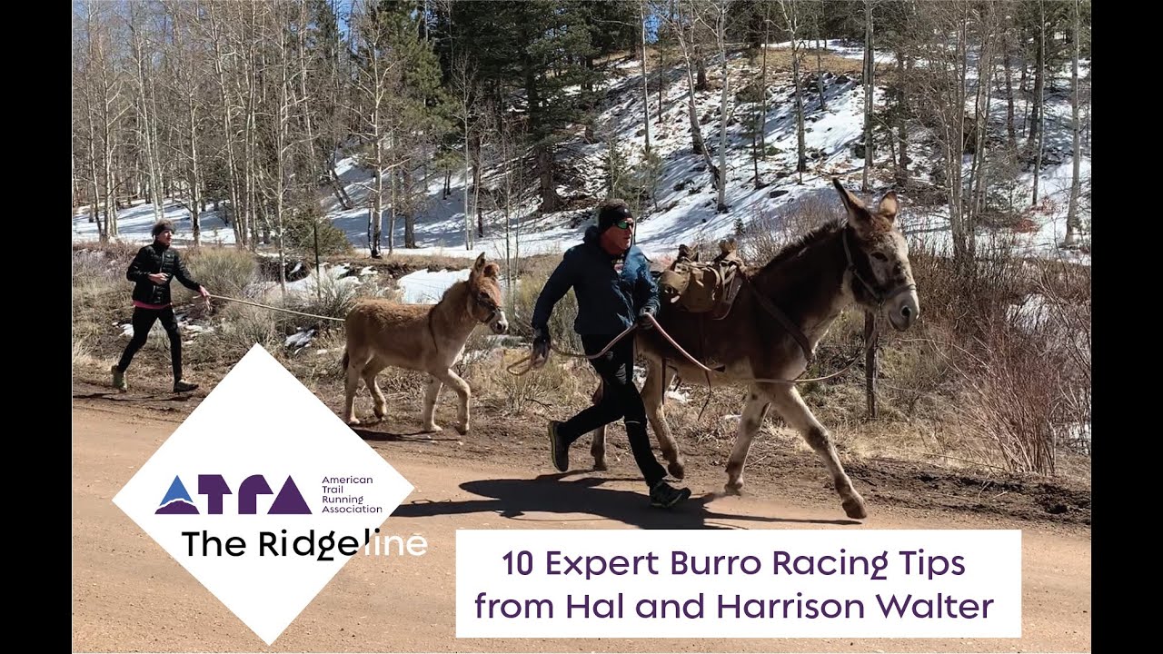 10 Expert Burro Racing Tips from Walter Ranch - YouTube