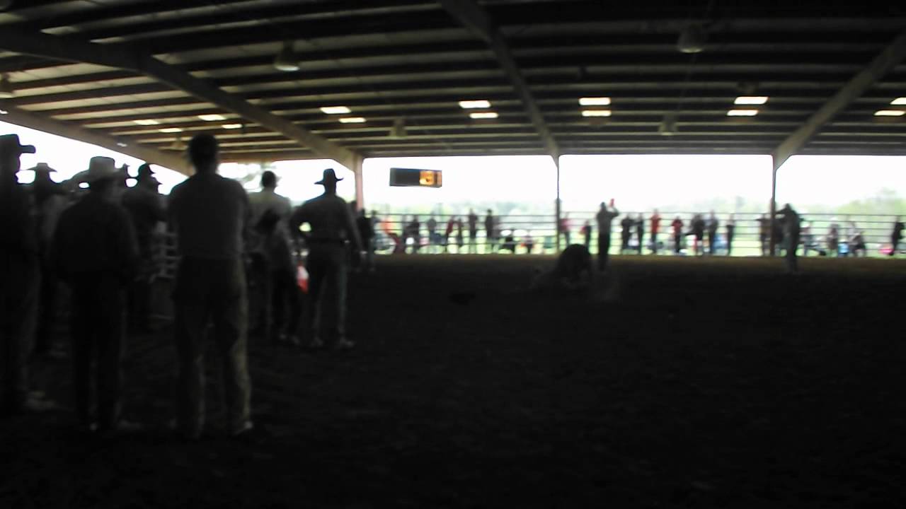 Tyler Steer Wrestling - YouTube