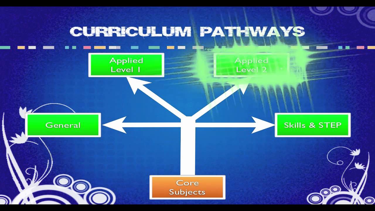 Pathways and Option Choices 2011 - YouTube