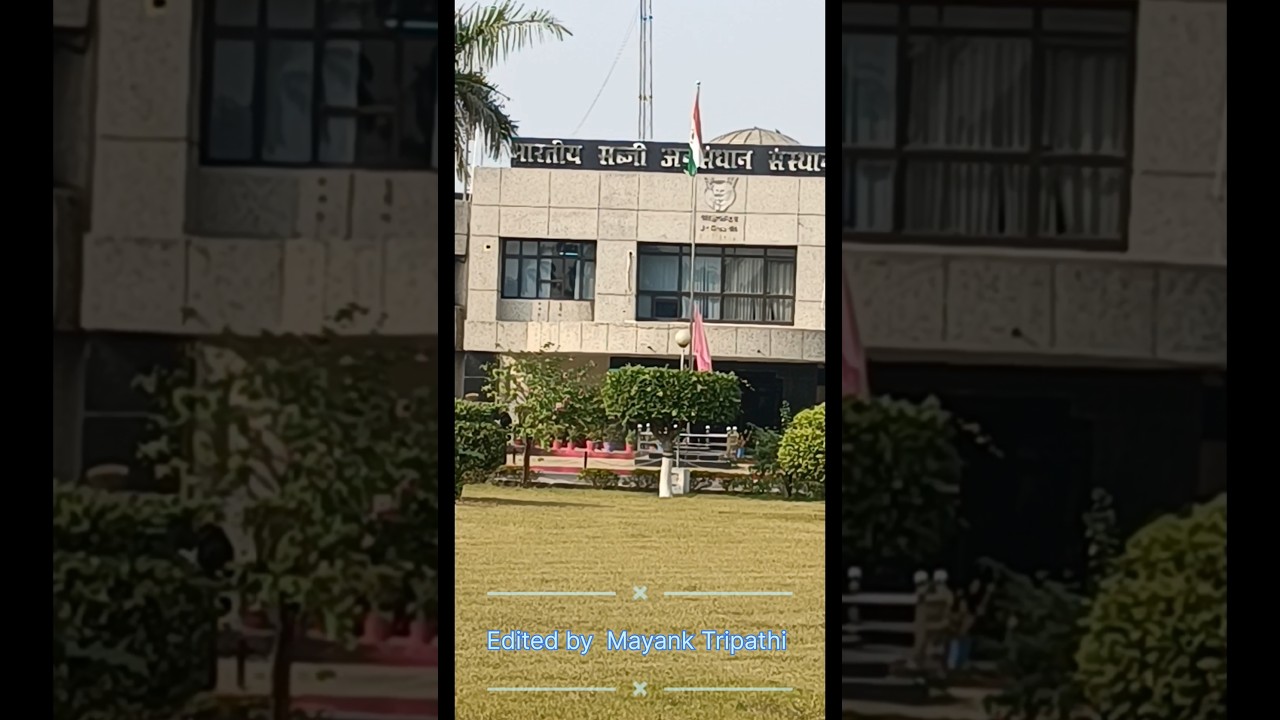 IIVR || Indian Institute of Vegetable Research #ICAR #IIVR - YouTube