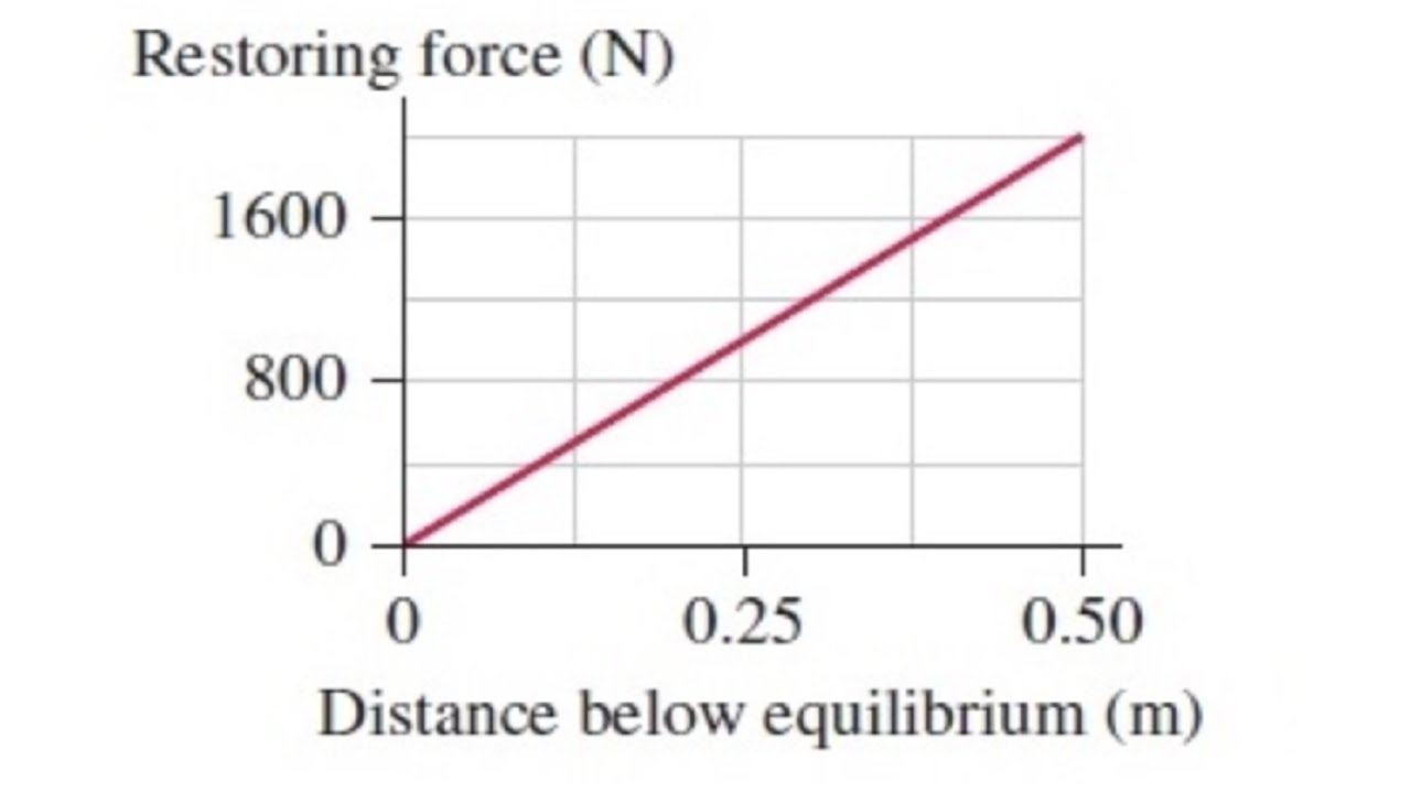 Spring Force of a Trampoline - YouTube
