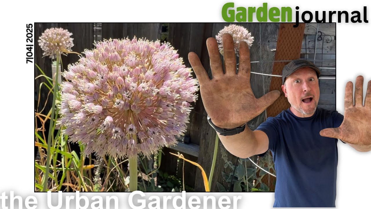 The Problem with Growing Garlic... | Our Summer Harvest - YouTube