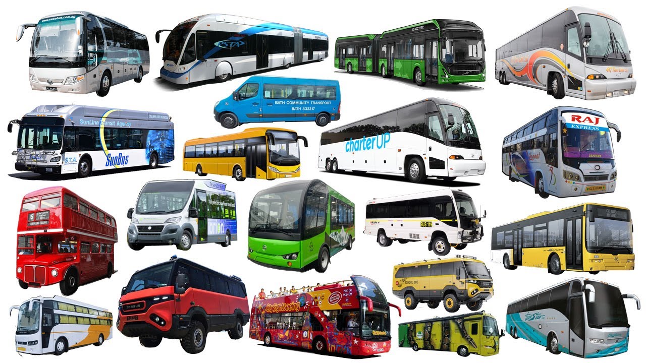 Bus Names for Kids 🚌 | Learn Vehicle Names in English | City Bus ...