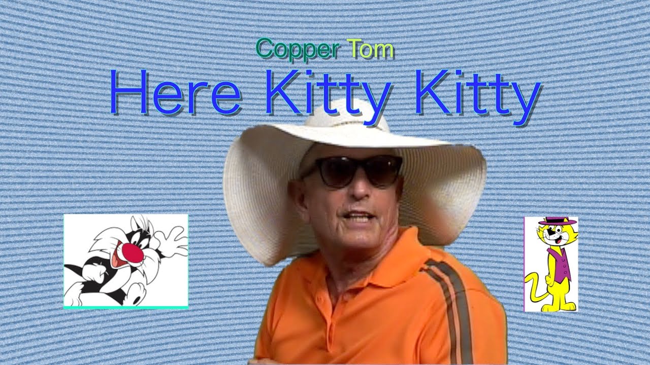 Here Kitty Kitty - YouTube