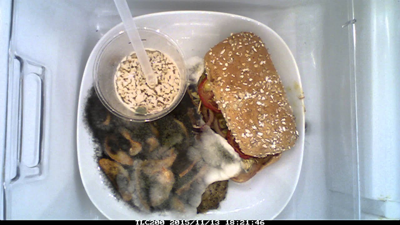 Time Lapse Food - McDonalds Long McB - CC Version - YouTube