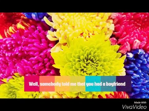The Killers - "Somebody Told Me" Lyrics - YouTube