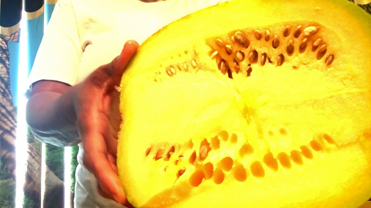 Melon (Ijodo) - YouTube