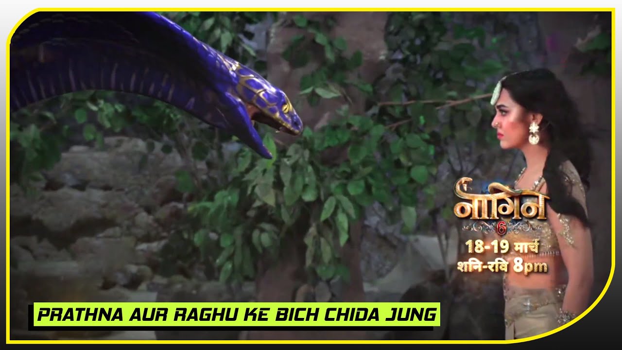 Naagin 6: Prathna Aur Raghu Ke Bich Chida Jung, Akhir Prathna & Raghu ...