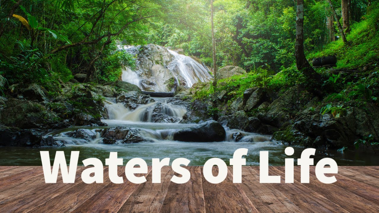 Waters of Life 4/23/23 - YouTube