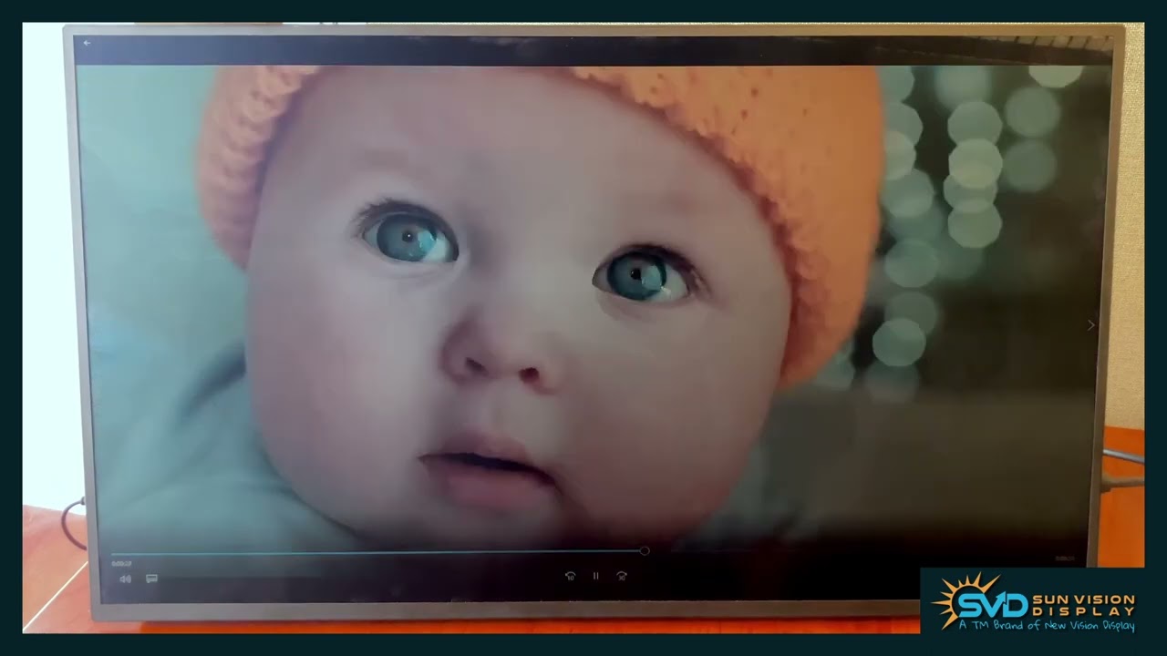 Functionality of Sun Vision Display's Color RLCD Computer Monitor on ...