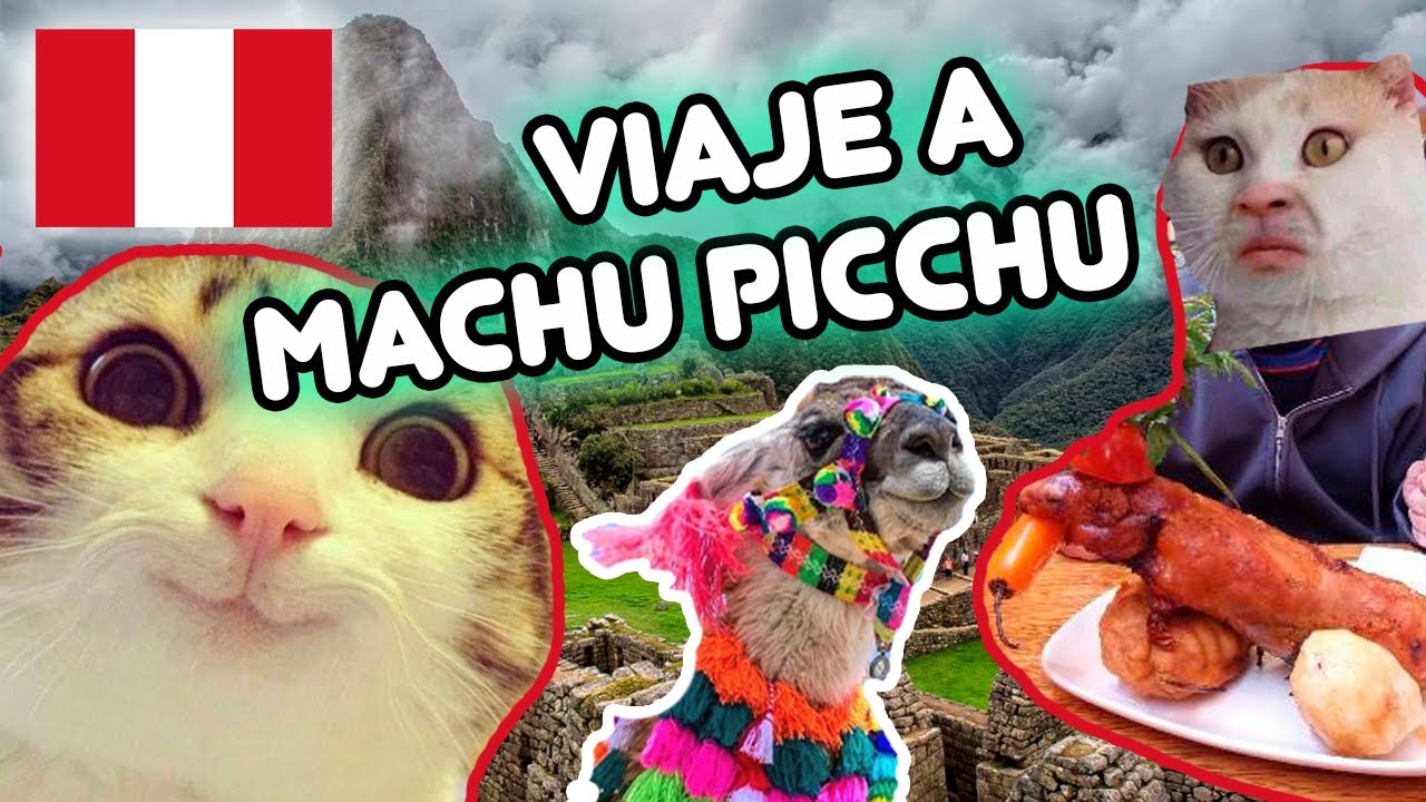 VIAJE A MACHU PICCHU - PERÚ 🇵🇪 (meme de gatos) - YouTube