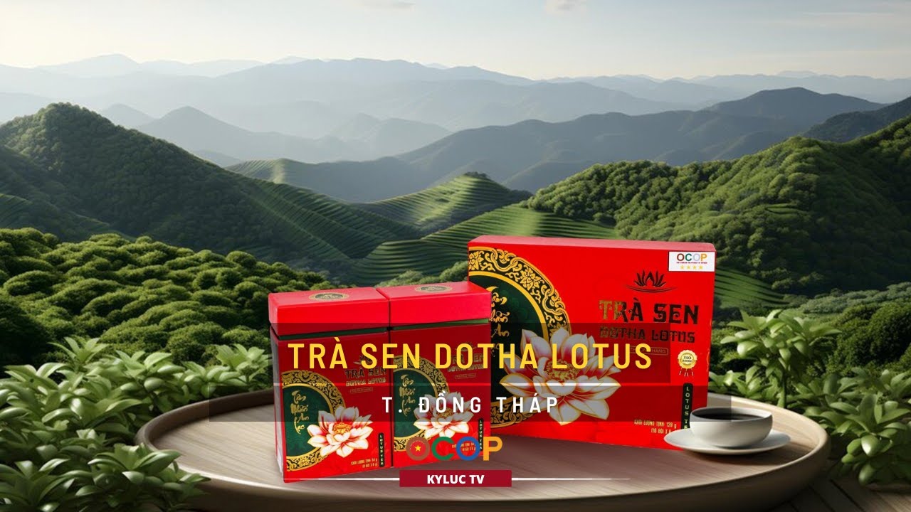 Sản Phẩm Trà sen Dotha Lotus (T. Đồng Tháp) - Đề cử TOP 100 sản phẩm ...