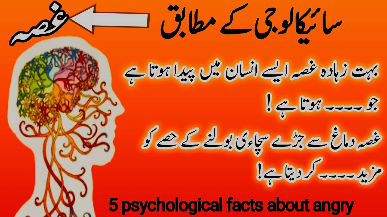 5 facts about anger| psychology about angry|نفسیات کے مابق غصہ - YouTube