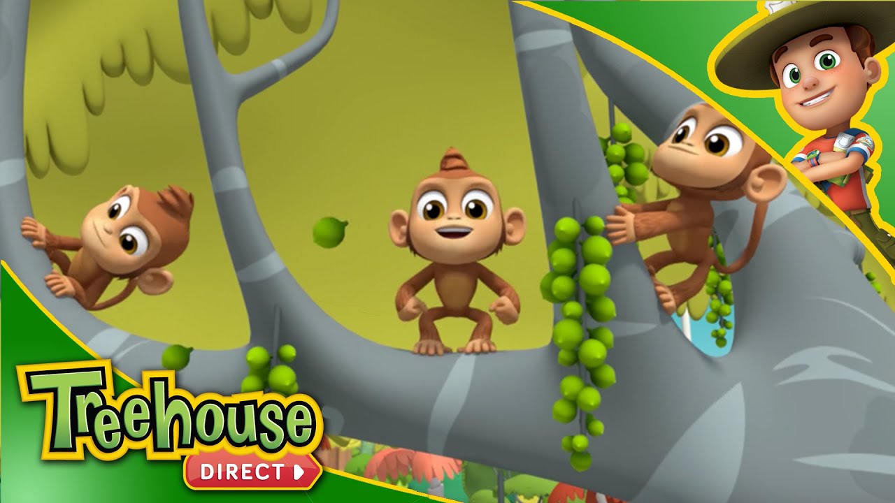 Ranger Rob Amazing Animal Facts – Monkeys - YouTube