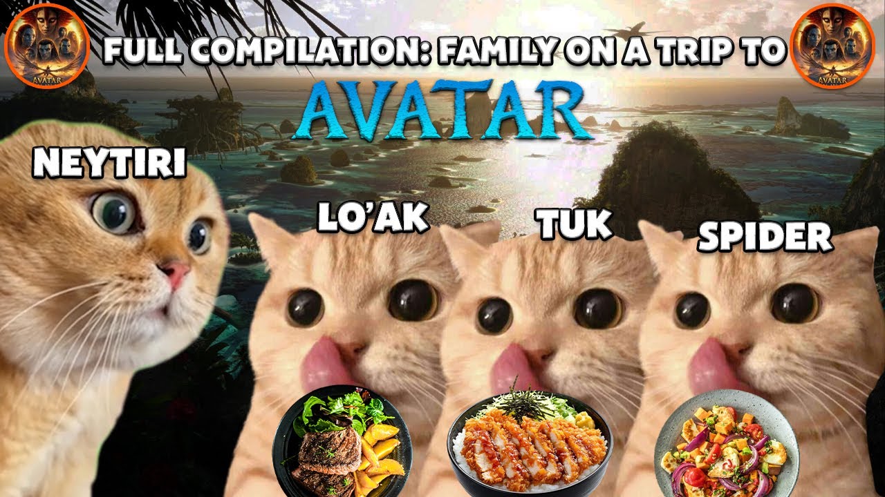 CAT MEMES: FUNNY CAT FAMILY ON A TRIP TO AVATAR 3 - FULL COMPILATION ...