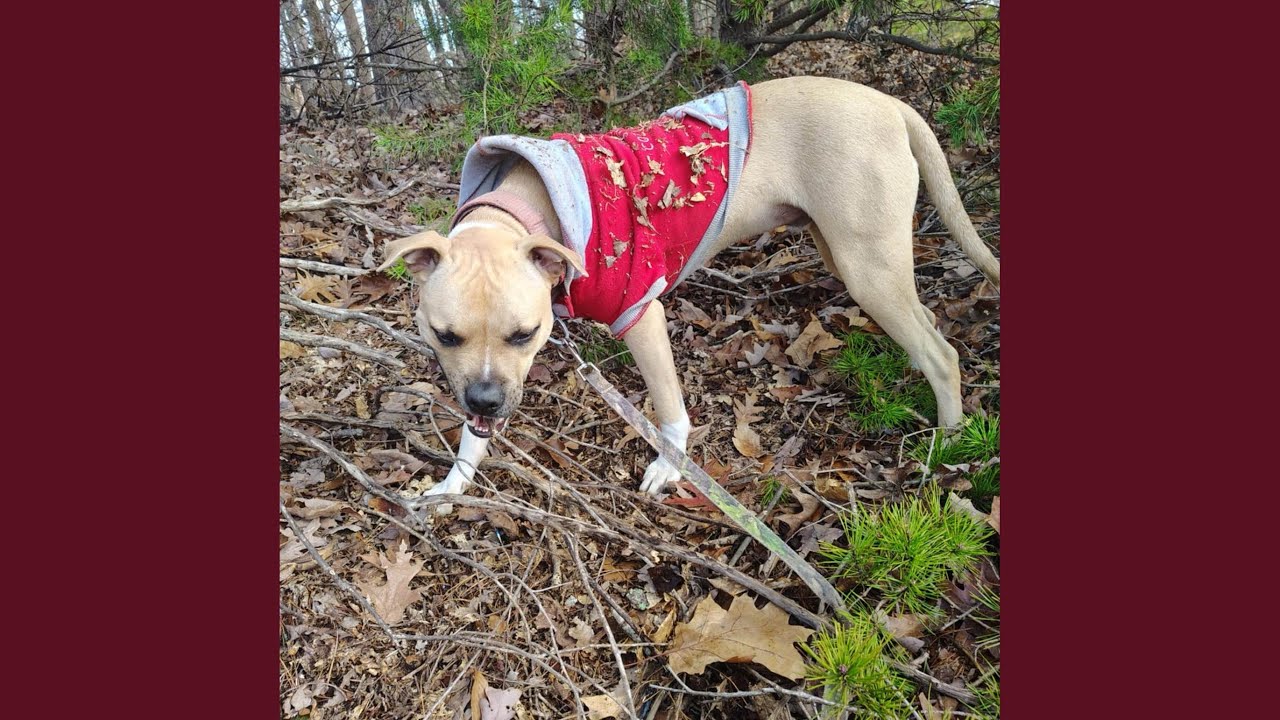 My First Trap Beat - YouTube