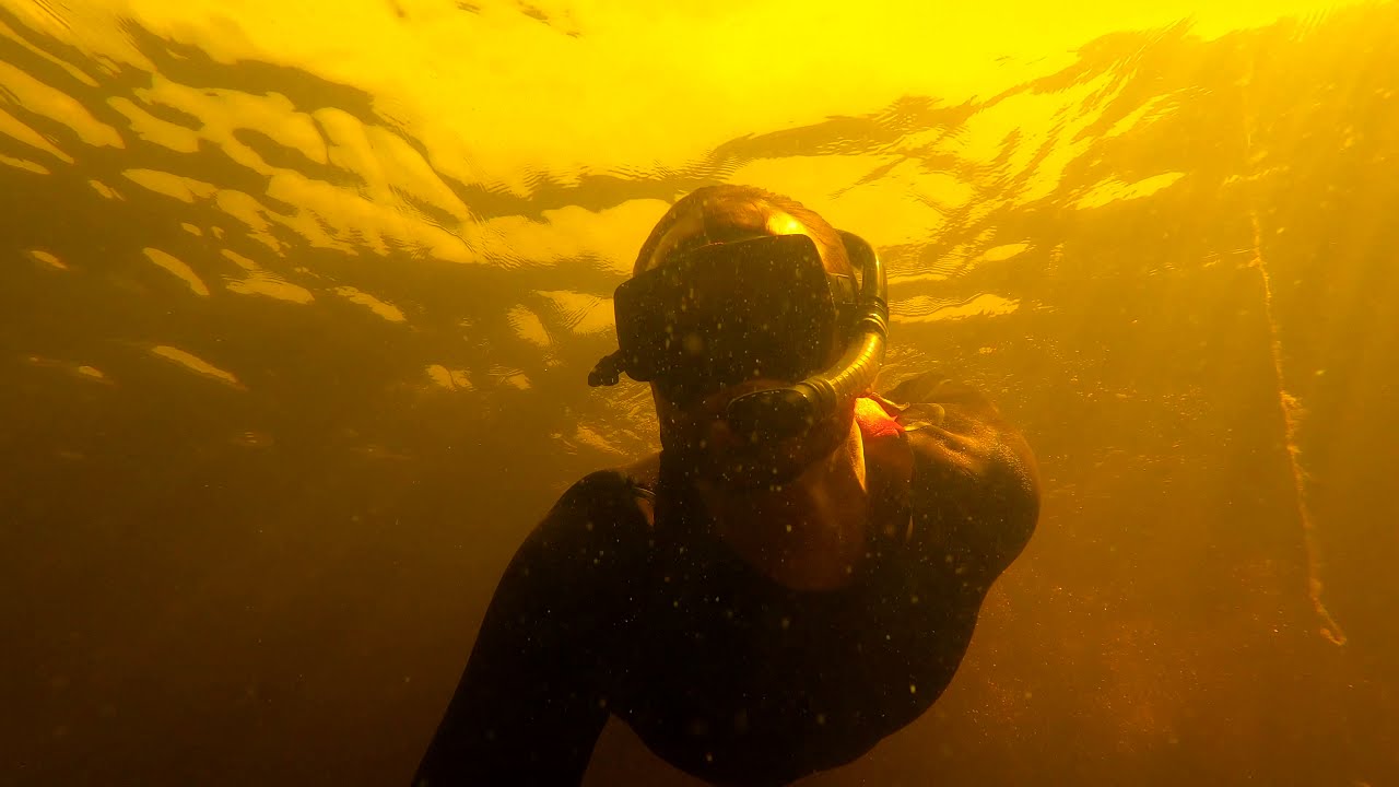 Diver explores Panuke Lake Nova Scotia - YouTube