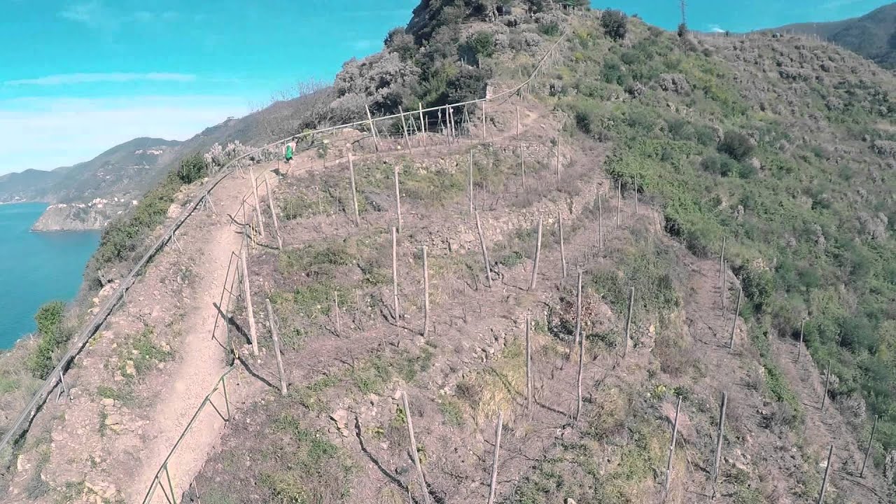 Sciacchetrail, Part 3: the Race - YouTube