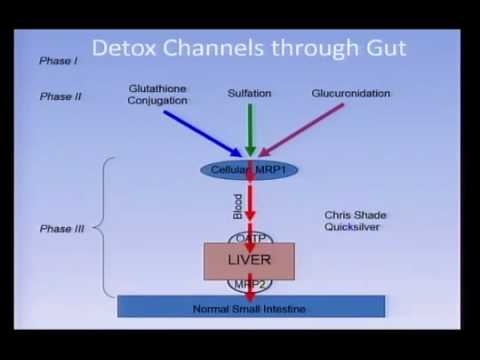 Dr Gary Samuelson, PHd 2016 Autism One Conference - YouTube