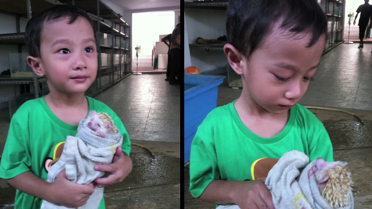 QAISER'S JOURNEY #1 BINTARO MINI FARM - YouTube