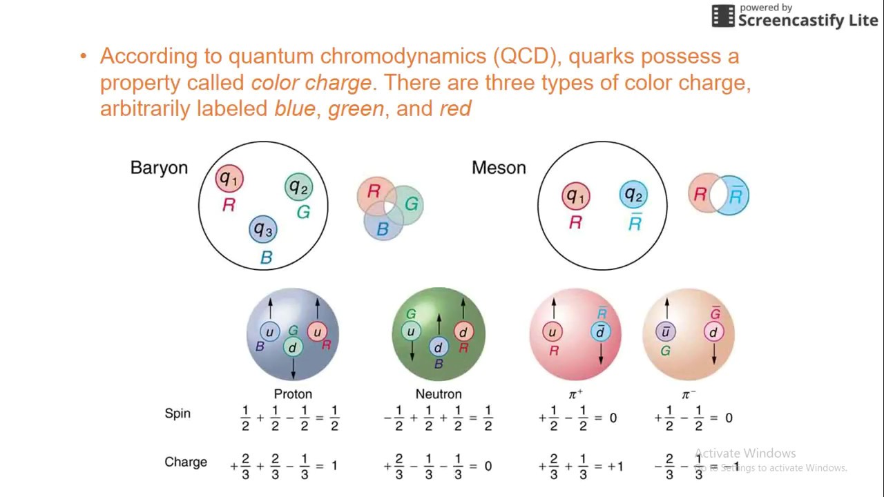 Quarks Overview, Type and their Properties in Particle Physics for NET ...