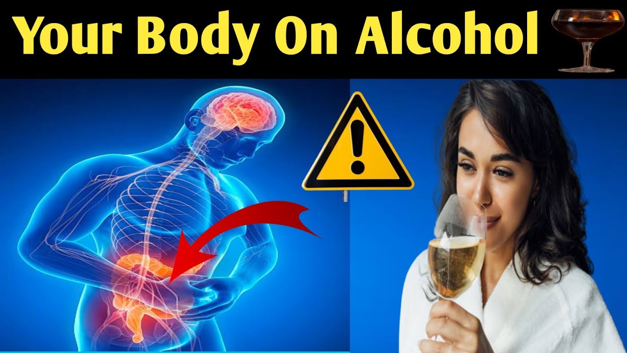 What Alcohol Does To Your Body | How Alcohol Affects Our Body | Mr ...