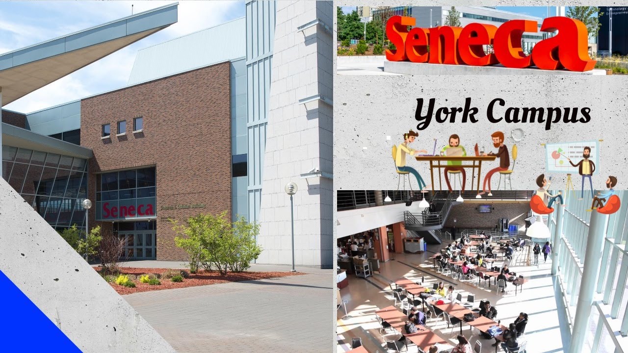 Seneca College | Requirements | Programs | Fees | York Campus | Work ...