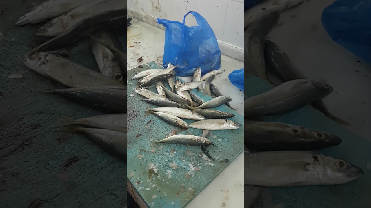 Indian expert how to clean fish!!! - YouTube