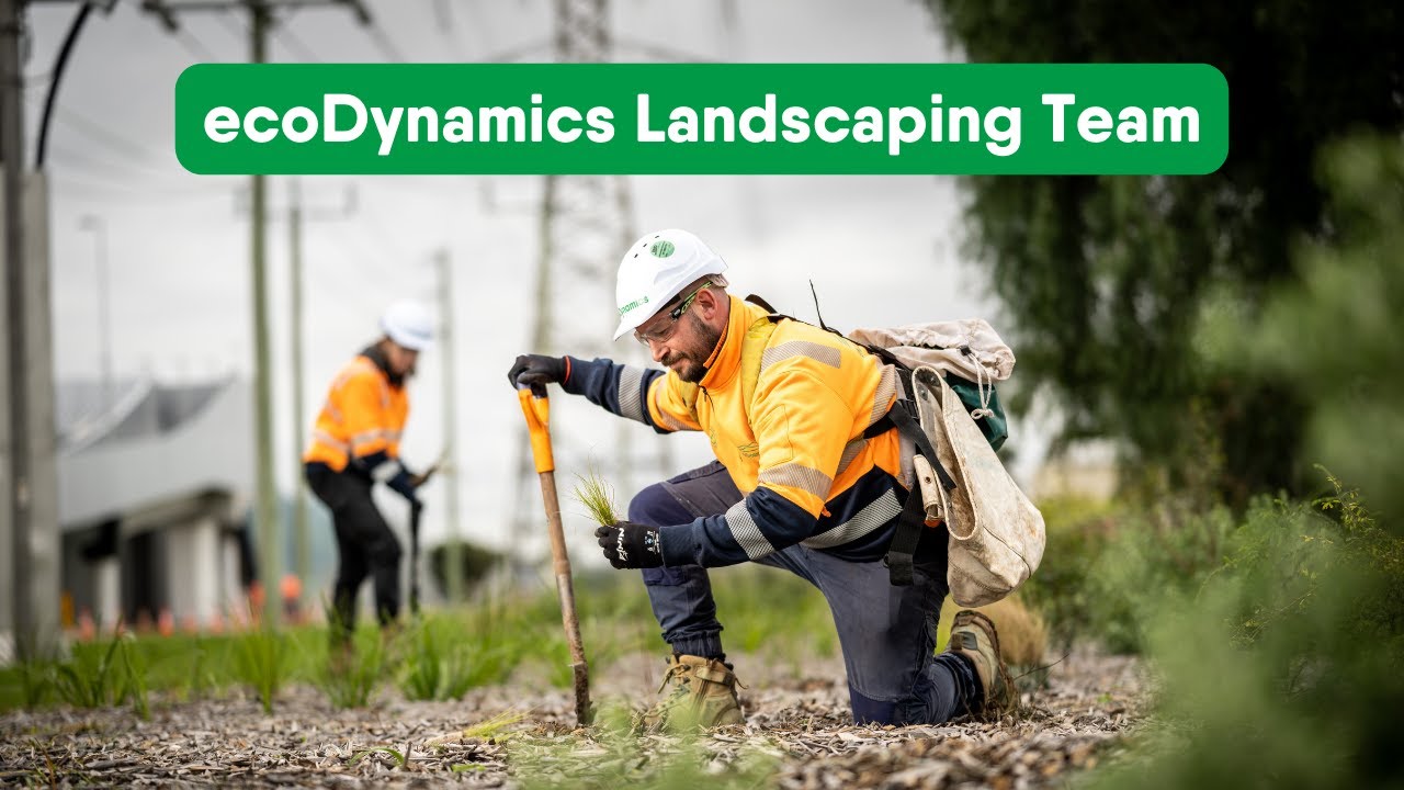 Join the ecoDynamics Landscaping Team - YouTube