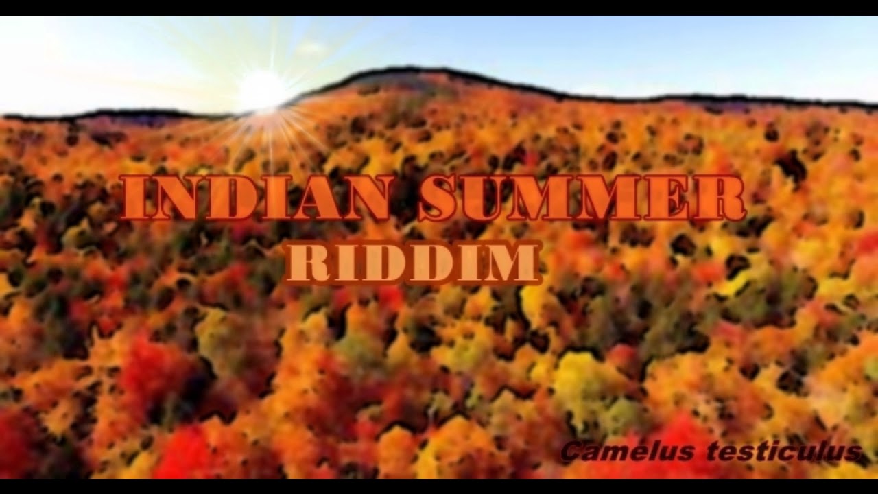 INDIAN SUMMER RIDDIM - YouTube