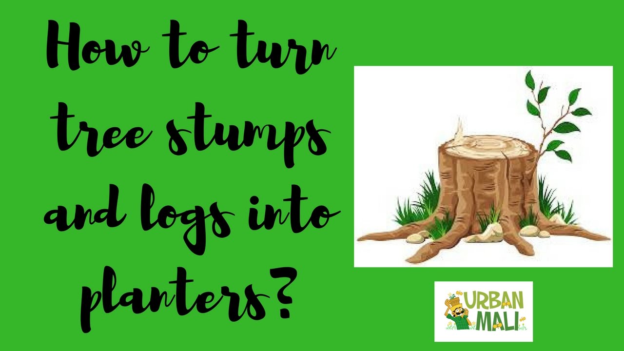 How to turn tree stumps and logs into planters - YouTube