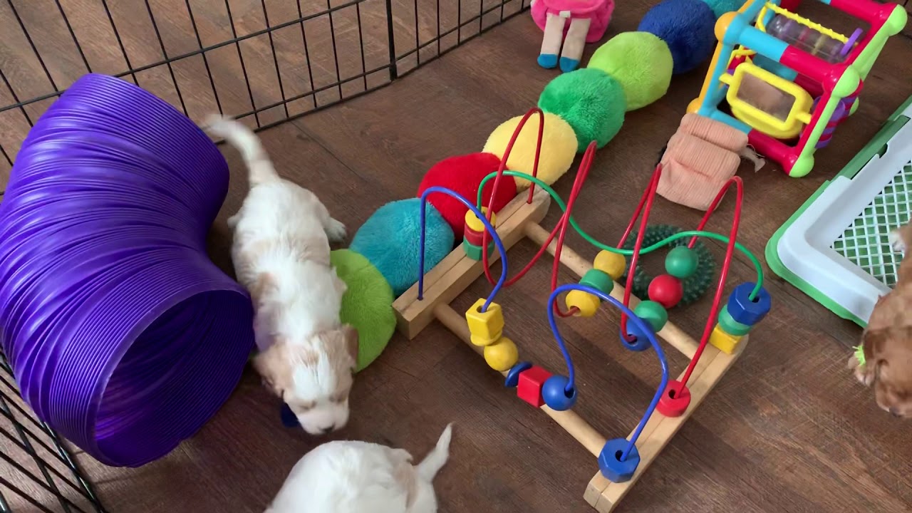 The tails work - YouTube