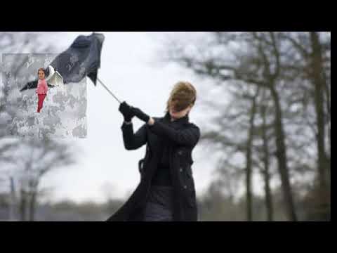 WHATSAPP VƏ İNSTAGRAM ÜÇÜN FACEBOOK VİDEOLAR PAYLAŞIRAM ...