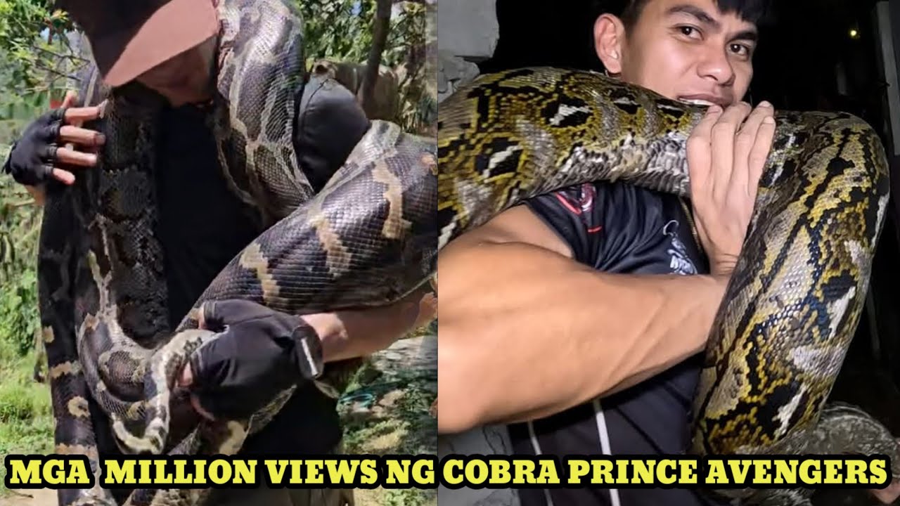 COBRA PRINCE AVENGERS MILLION VIEWS EPISODE #cobraprince - YouTube
