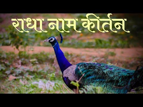राधा नाम कीर्तन | Radha Naam Kirtan