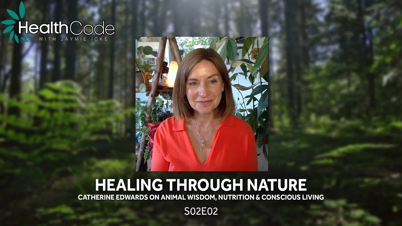Health Code - What is Nutrition? - YouTube