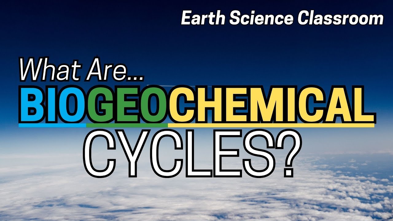 What Are The Different Types Of Biogeochemical Cycles? - YouTube
