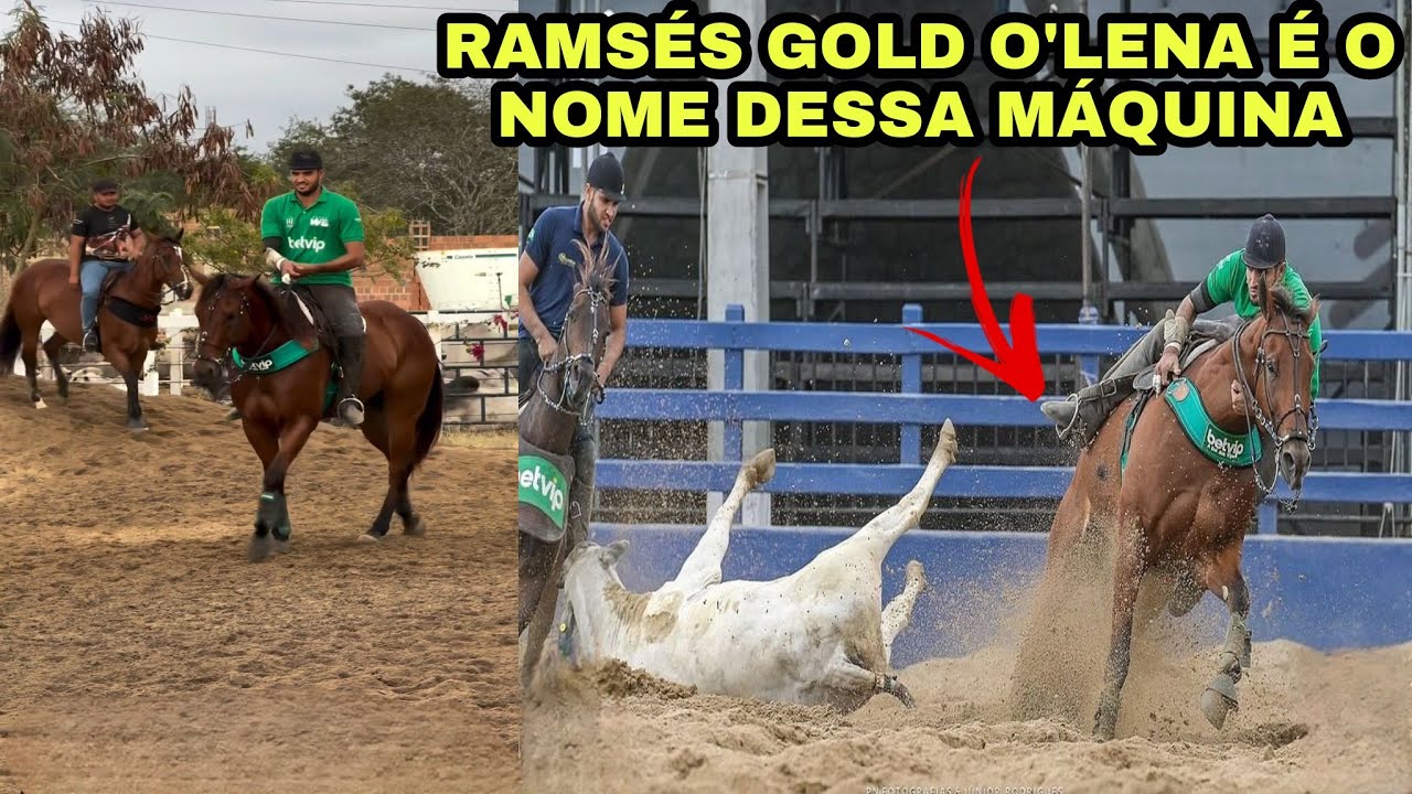 DHEOVANE ALMEIDA E SUA NOVA MONTARIA REMSÉS GOLD O'LENA - YouTube