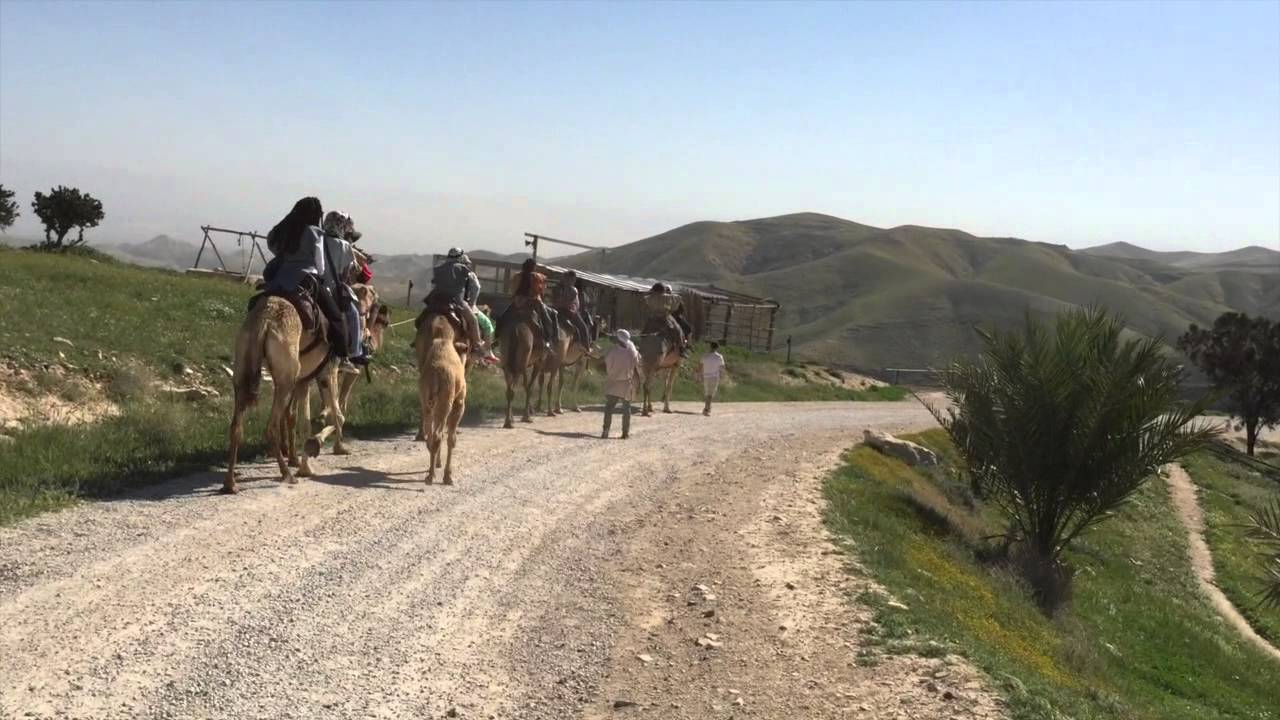 Visit Israel Camel Caravan judean desert - YouTube