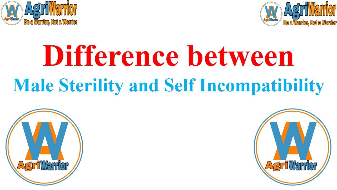 Difference Between Male Sterility and Self Incompatibility - YouTube