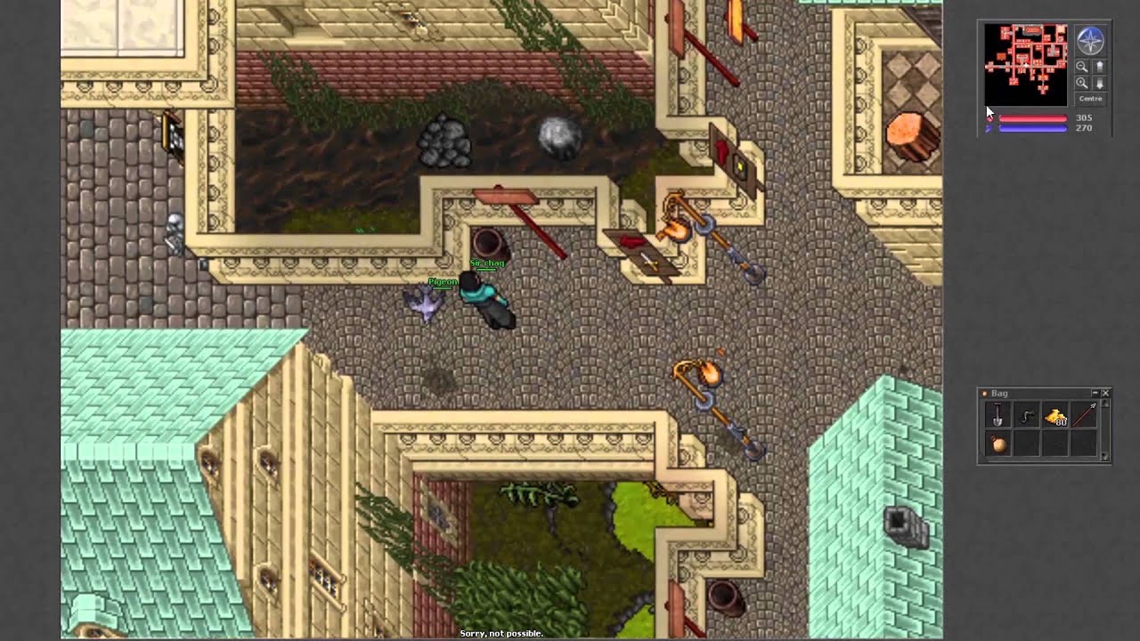 Tibia: Guía para Montura Water Buffalo en Español - YouTube