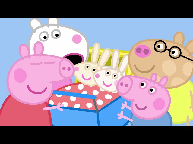 Peppa Meets Miss Rabbit and the Baby Rabbits - Videos For Kids