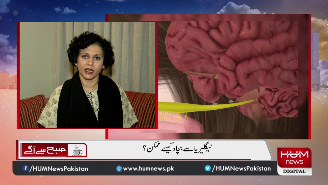 Important things that you need to know about Naegleria with Dr. Bushra ...