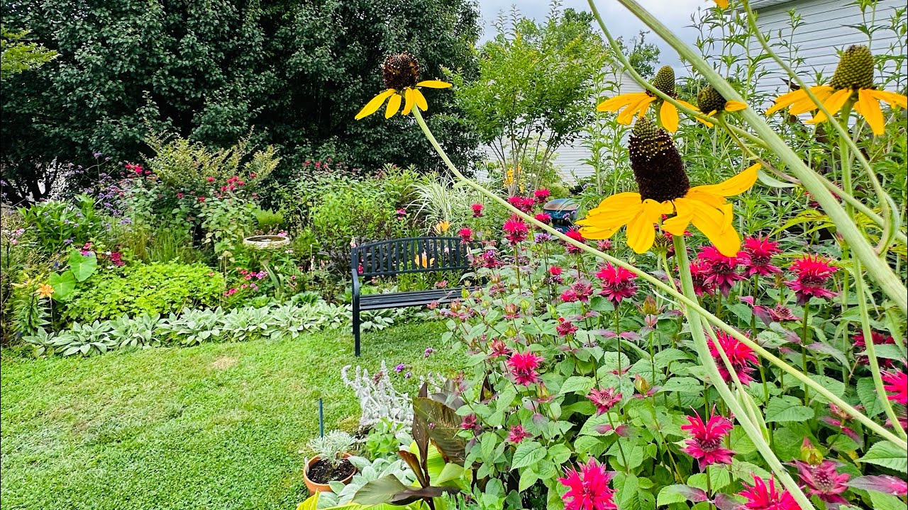 Late June Cottage Garden Tour - YouTube