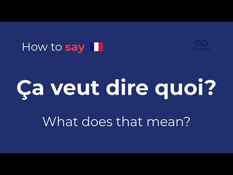 How to Say “What Does That Mean?” in French | Travel Crash Course Phrase: Ça veut dire quoi ?