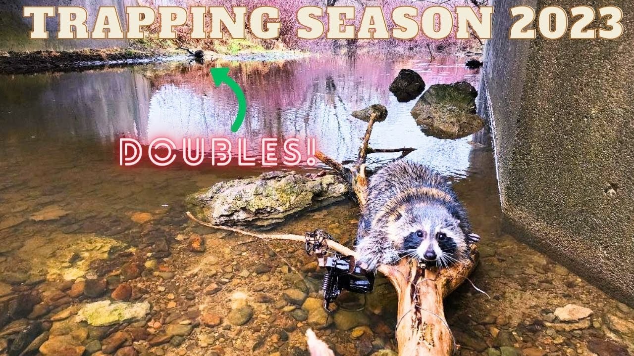 Trapping Season 2023 - Double! - YouTube