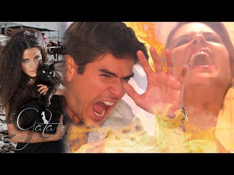 La Gata - Capítulo 48: ¡Gisela está dispuesta a acabar con Pablo! | Tlnovelas