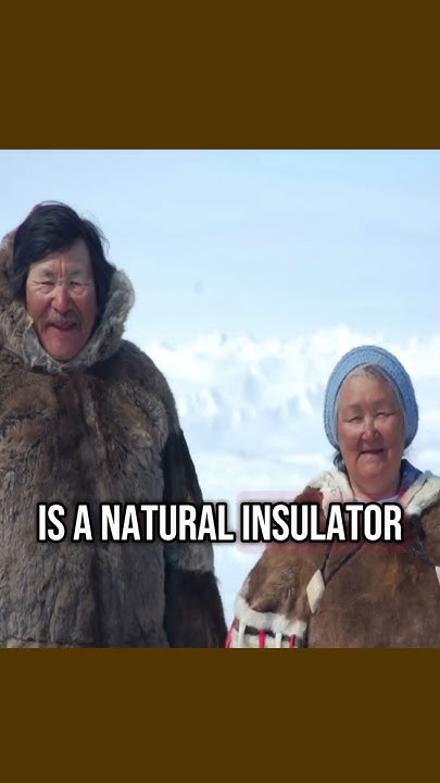 How the Inuit Survive the Harsh Arctic | Amazing Indigenous Life Hacks ...