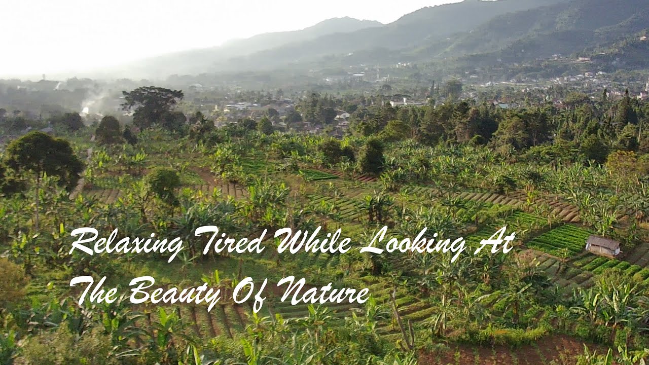 Relaxing Tired While Looking At The Beauty Of Nature... - YouTube