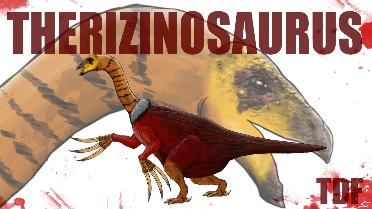 Therizinosaurus The Scythe Lizard (TDF Facts) - YouTube